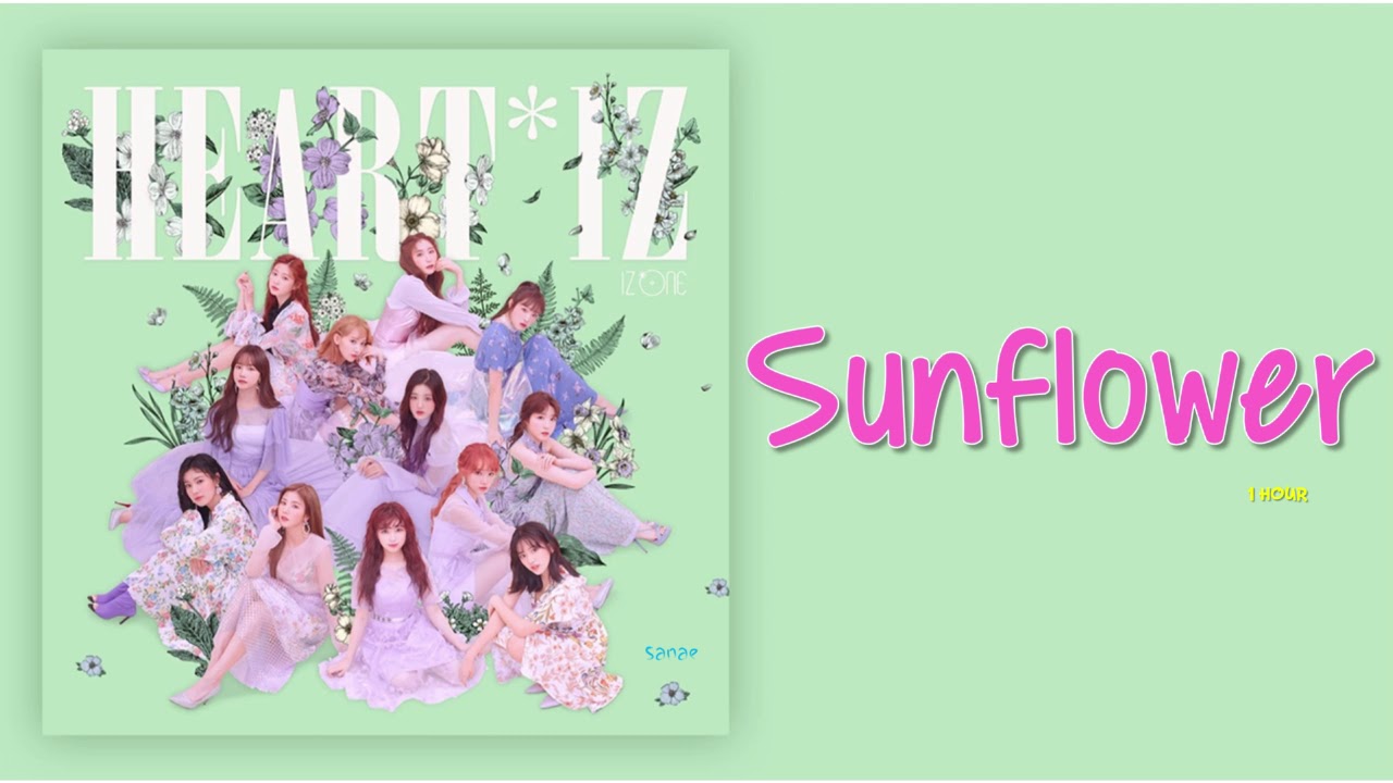 1 Hour Sunflower (해바라기) - IZ*ONE (아이즈원) - YouTube