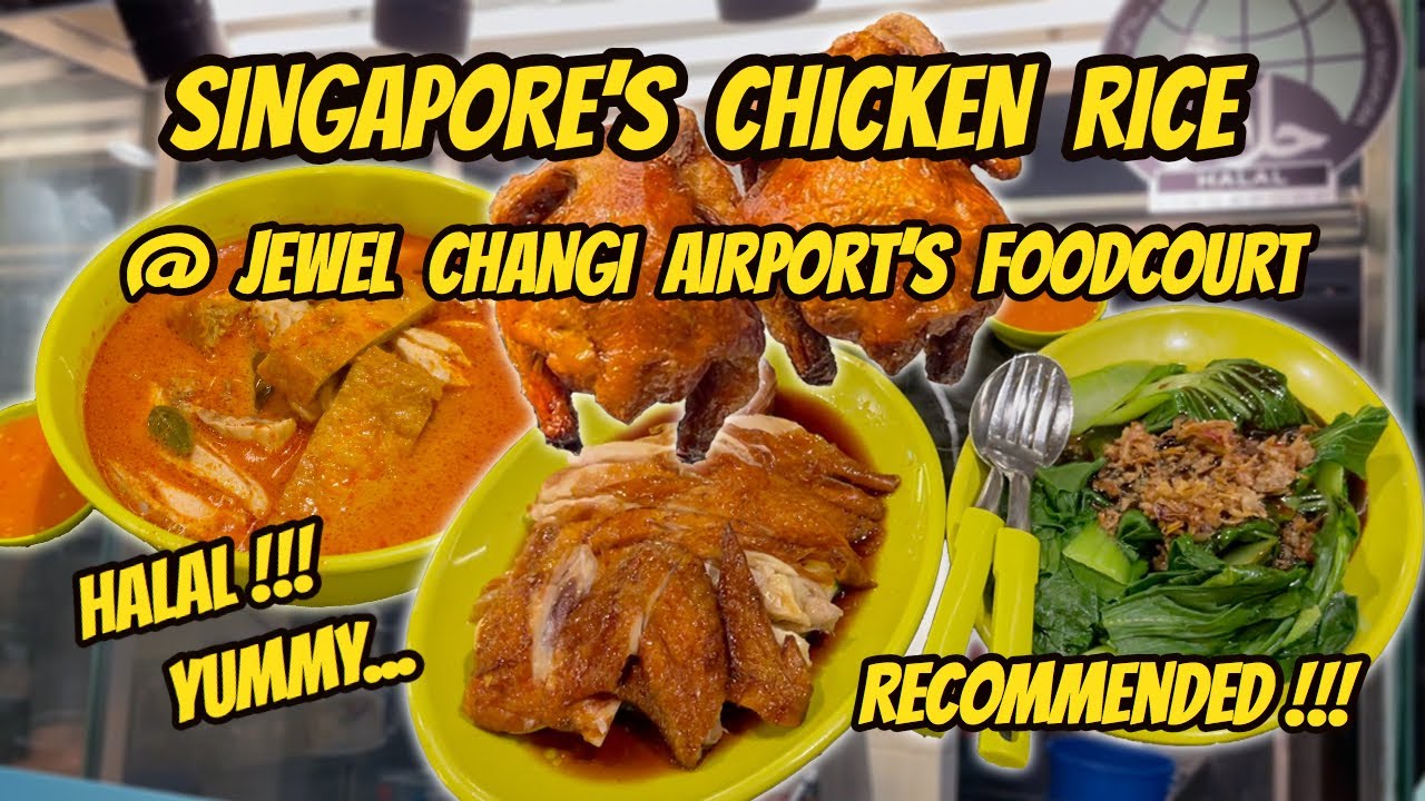 SINGAPORE’S HALAL CHICKEN RICE @ JEWEL CHANGI AIRPORT’S FOODCOURT (IND ...