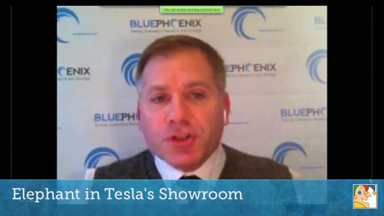 Elon Musk and the Elephant in Tesla's Showroom - YouTube