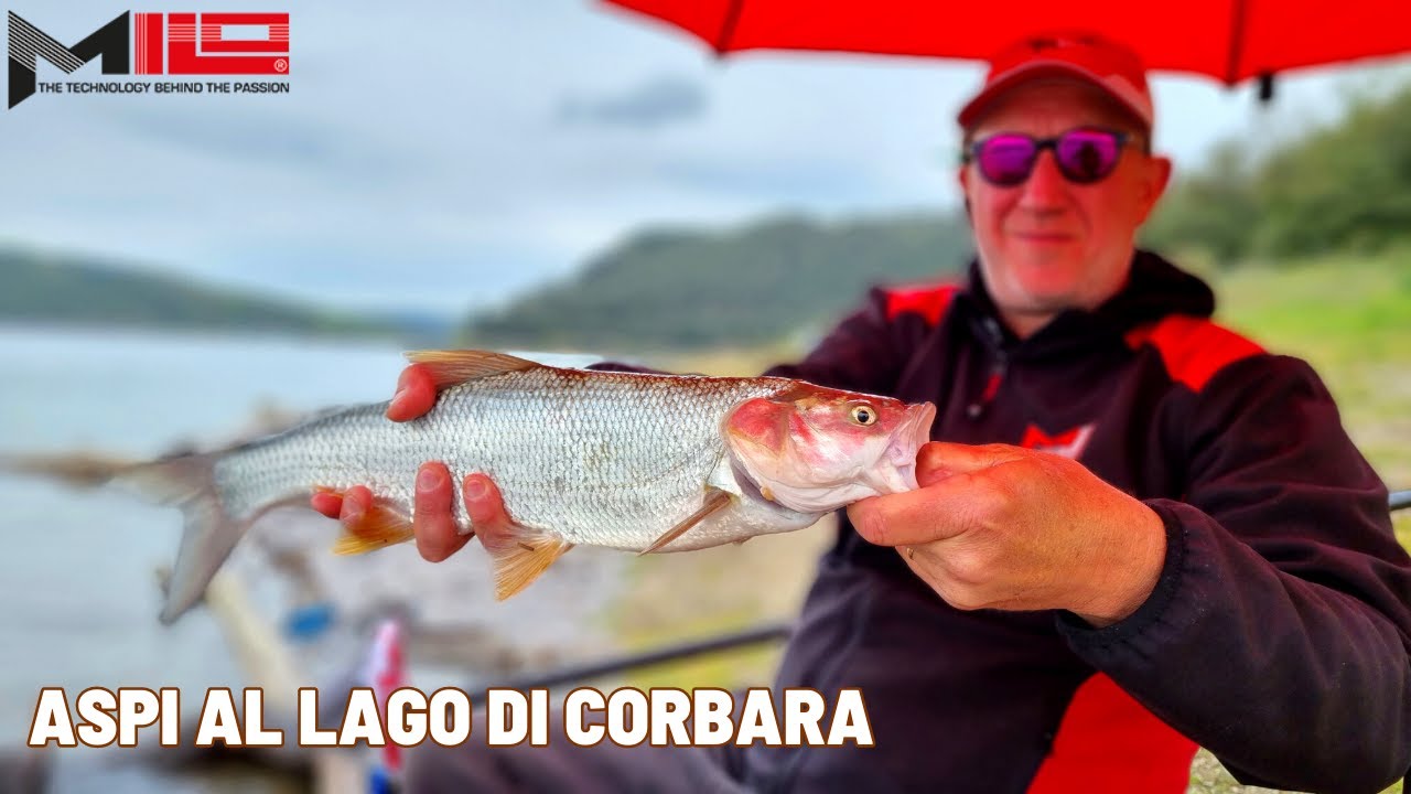 COME PESCARE AL LAGO DI CORBARA - Itinerari By MILO - YouTube