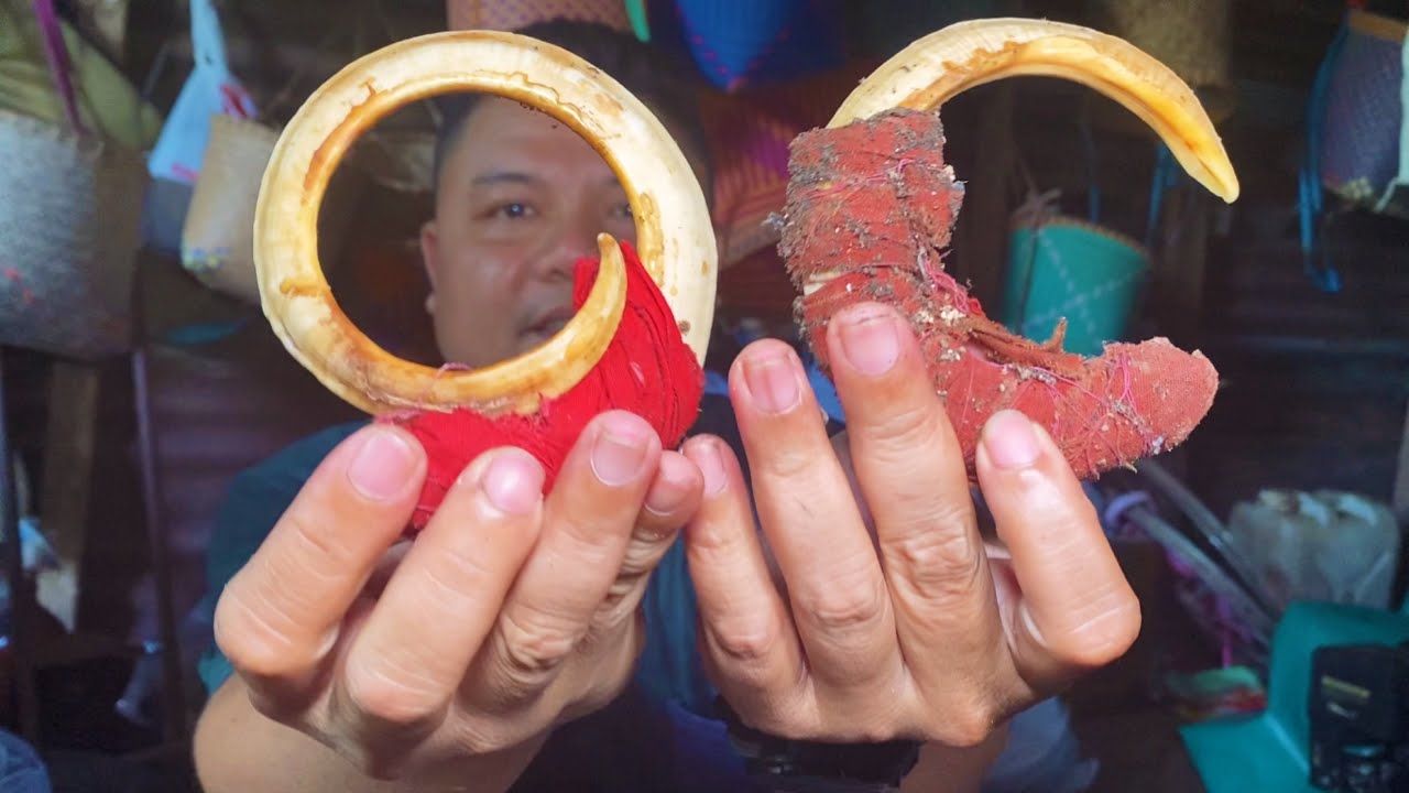 Upacara Miring Untuk Tangkal ( Pengaruh) Mengikut Adat Asal Kaum Dayak ...