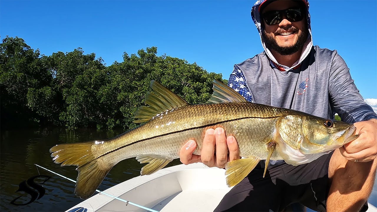 Easiest Way to Catch REDFISH & SNOOK During Fall - YouTube
