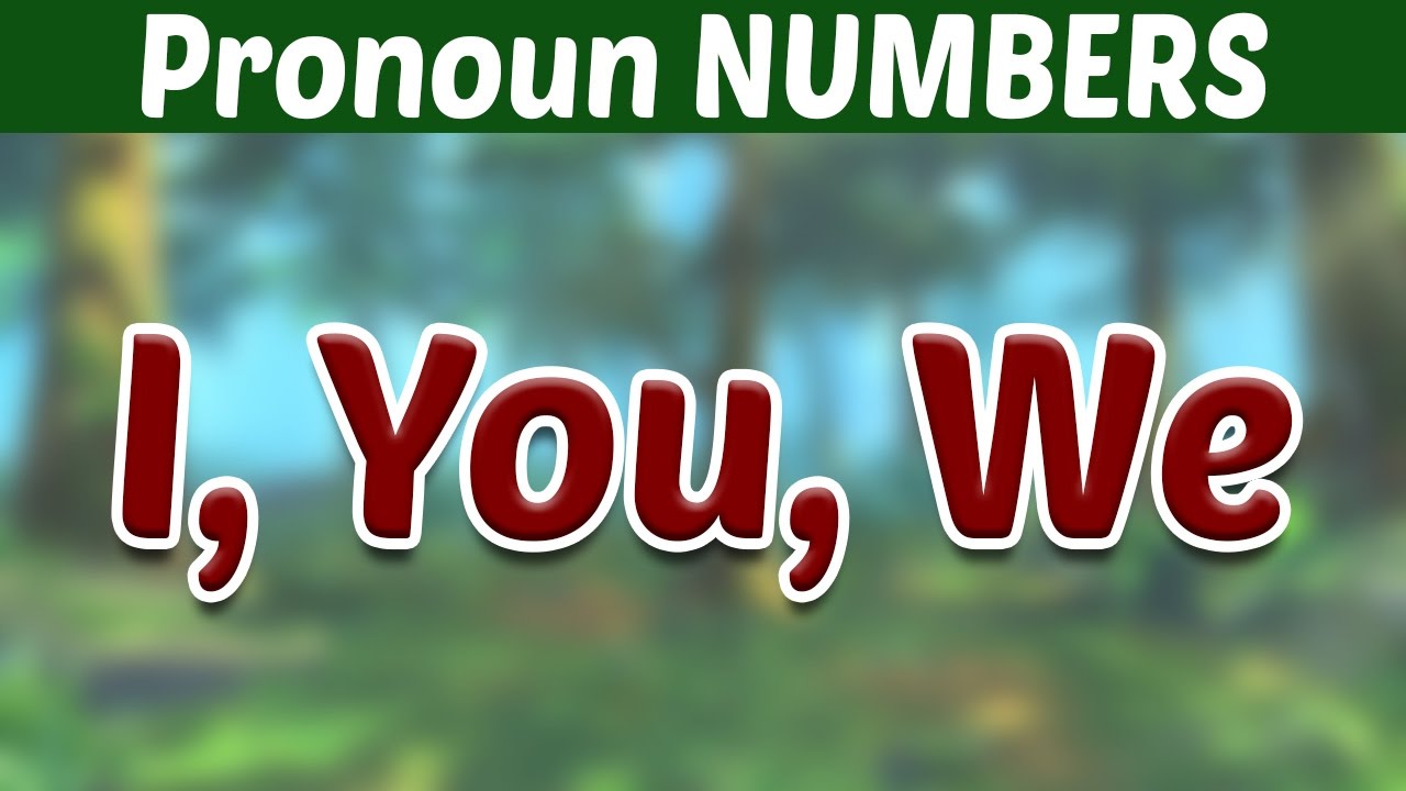 Learn Basic English Grammar - PRONOUN NUMBERS | Kids Educational Video ...