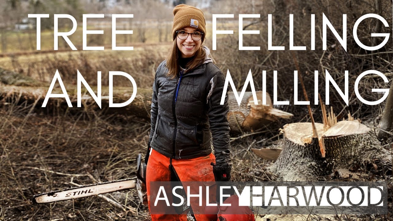 Ashley Harwood Learns to Fell a Giant Ash Tree! - YouTube