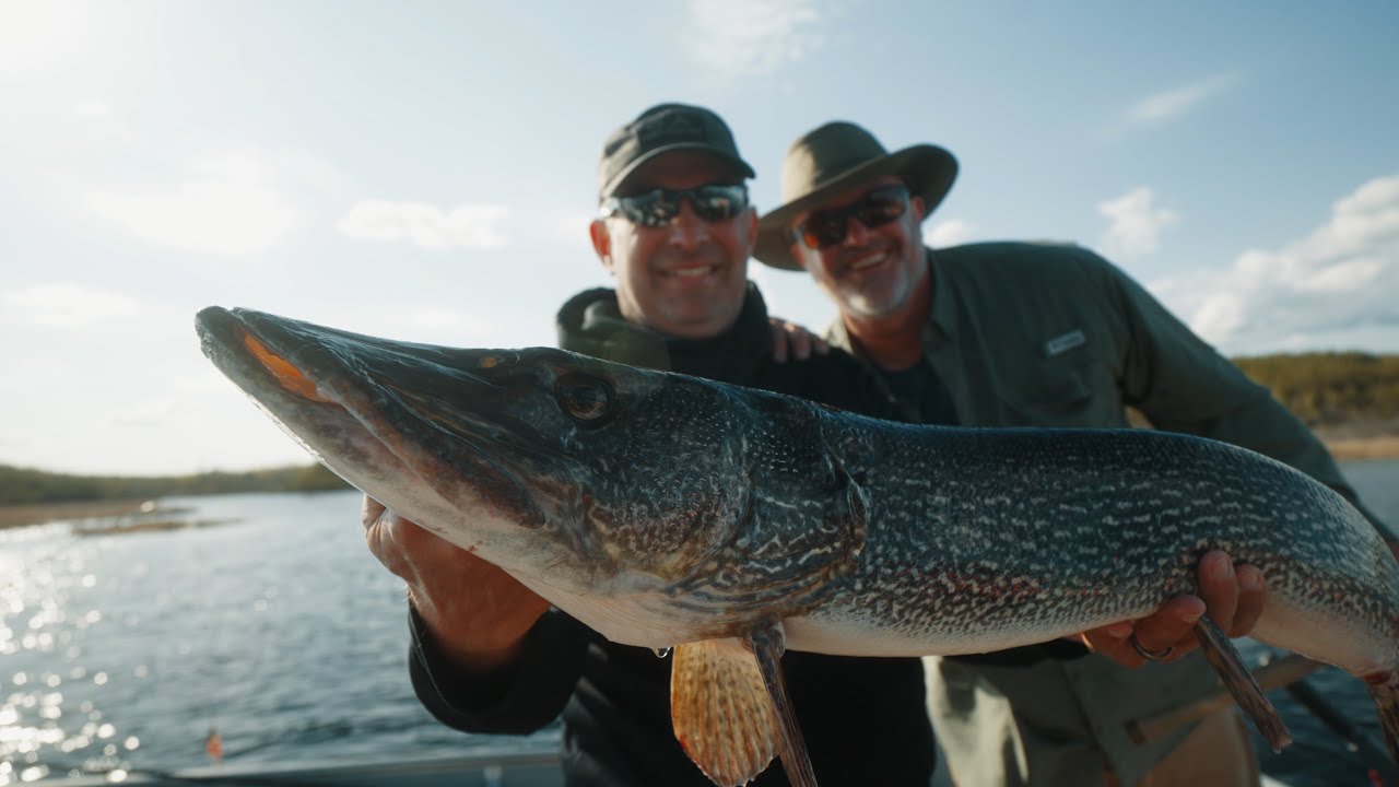 Incredible Fly-in Fishing for Northern Pike - Shining Falls Lodge - YouTube
