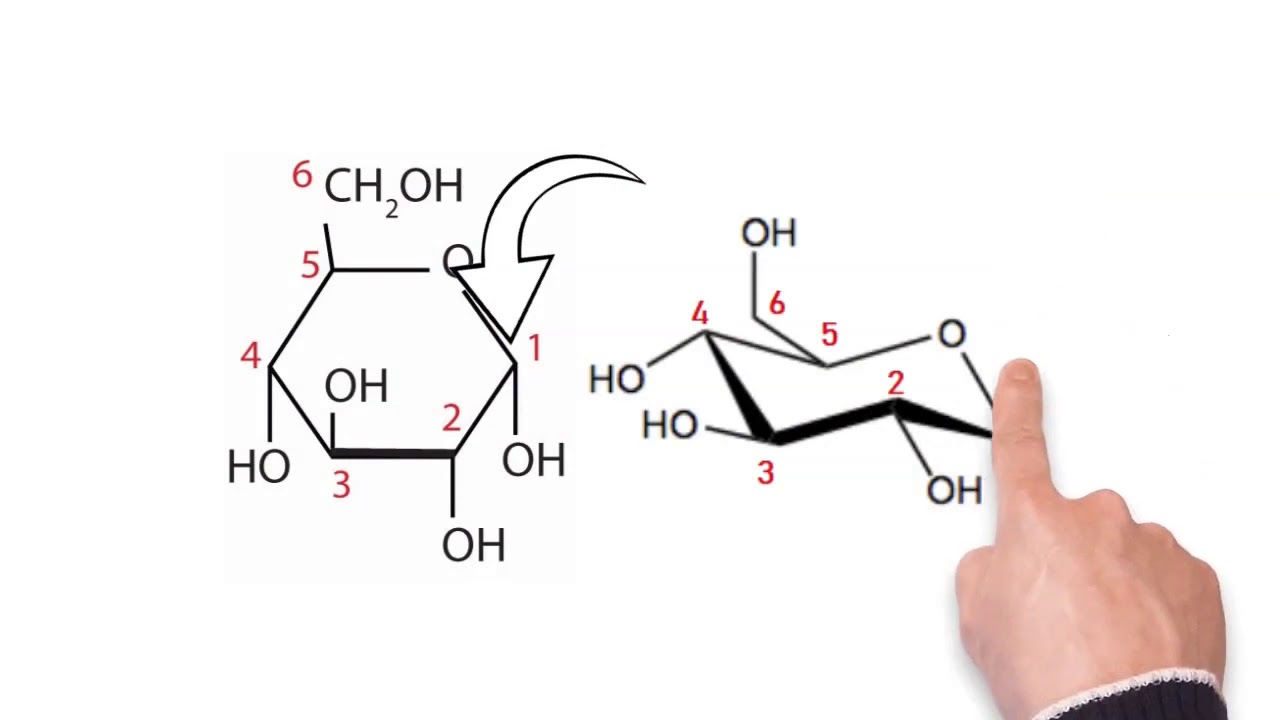 Glucose Structure Linear