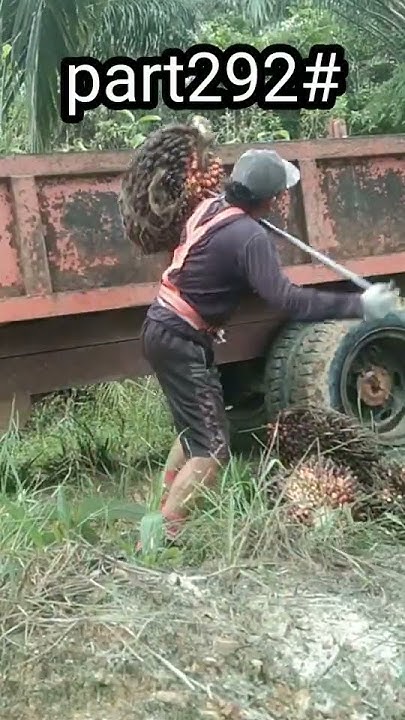 muat di hari ini...!#tki#part292#shortsvideo - YouTube