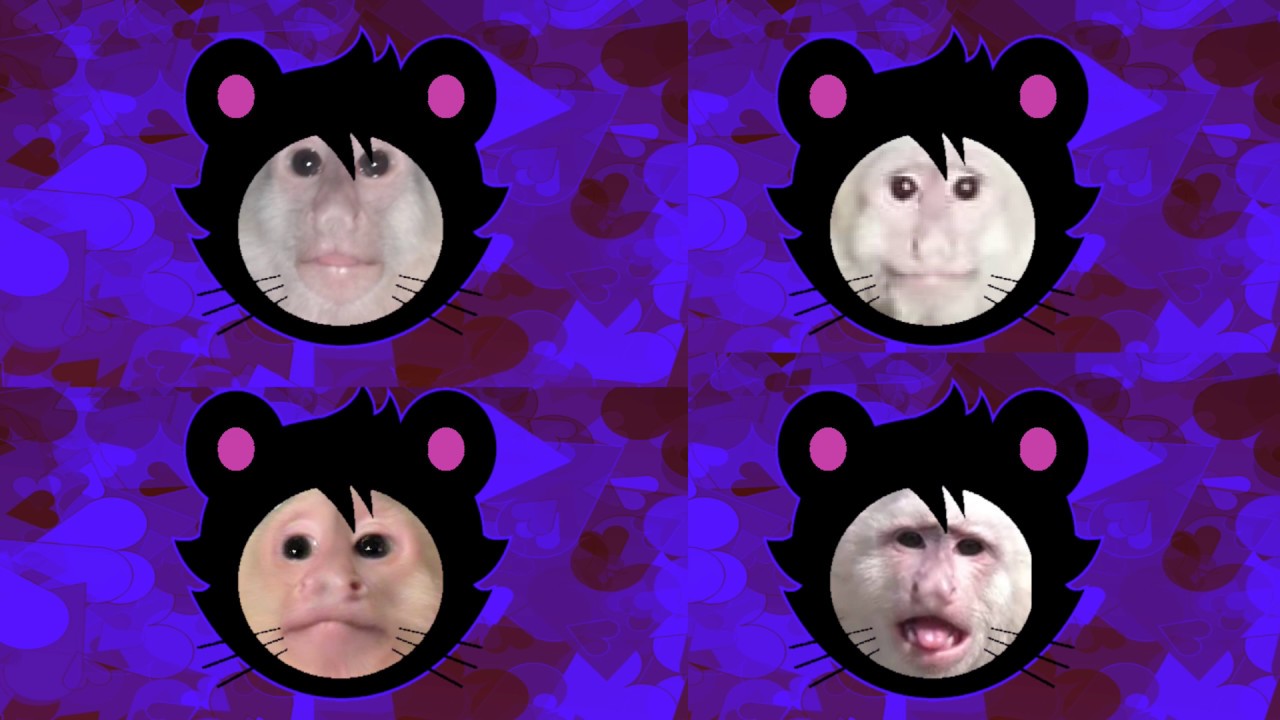 CAPUCHIN Monkey Food and a Kitty Cat Monkey Lillian Louise LL (#132 ...