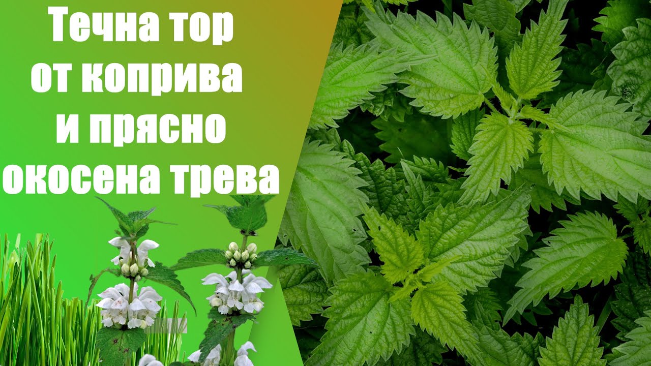 Как да си направим натурална течна тор от КОПРИВА и прясно окосена