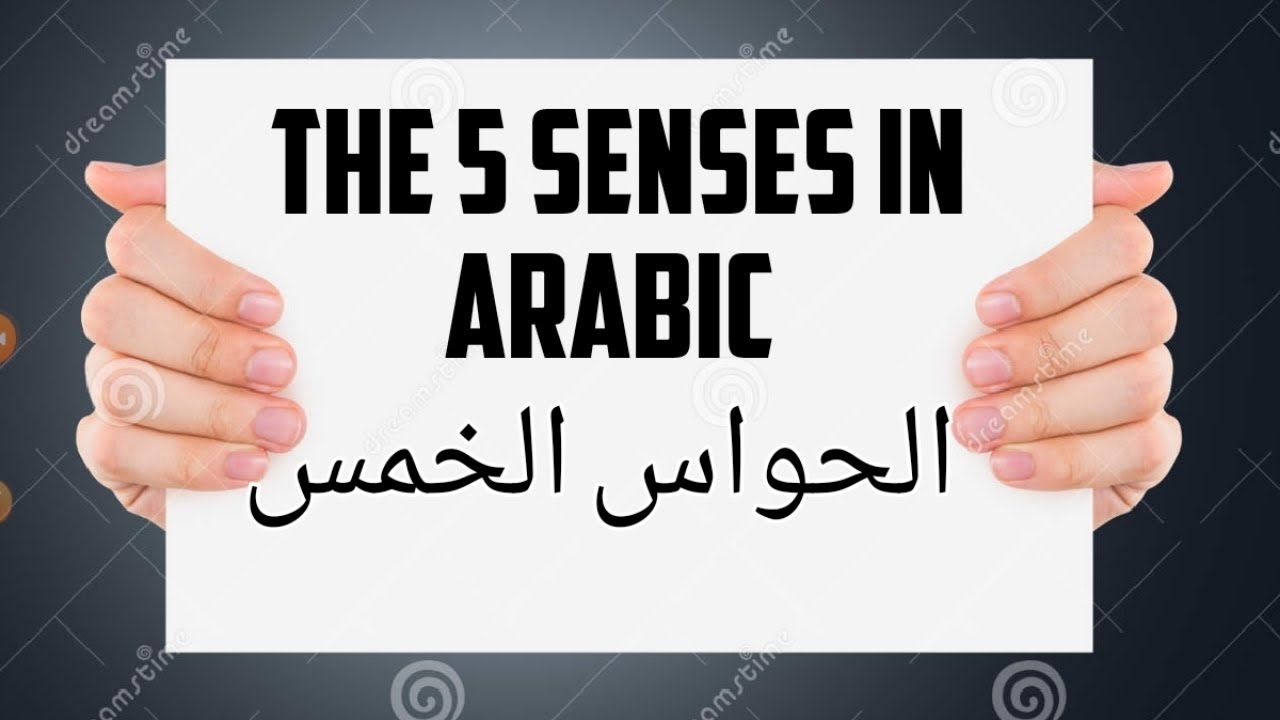 الحواس الخمس- The five senses in Arabic - YouTube