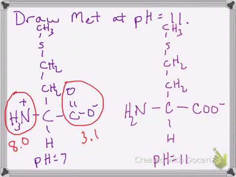 Effect of pH and pKa on Amino Acid Structure - YouTube