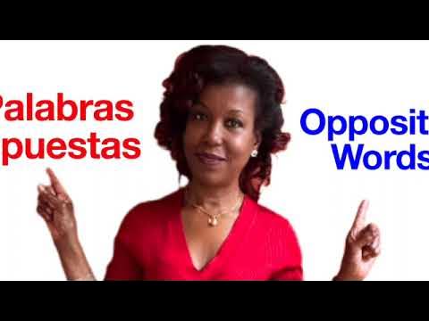 Palabras Opuestas. Opposites Words - YouTube