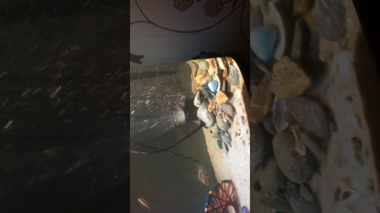 Restructured water fish tank, vortex - YouTube