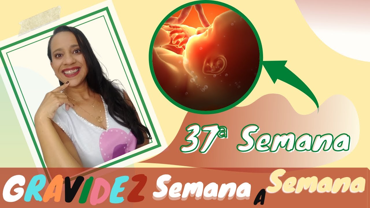 37 Semanas de Gravidez/ Sintomas da Mamãe e Desenvolvimento do Bebê ...