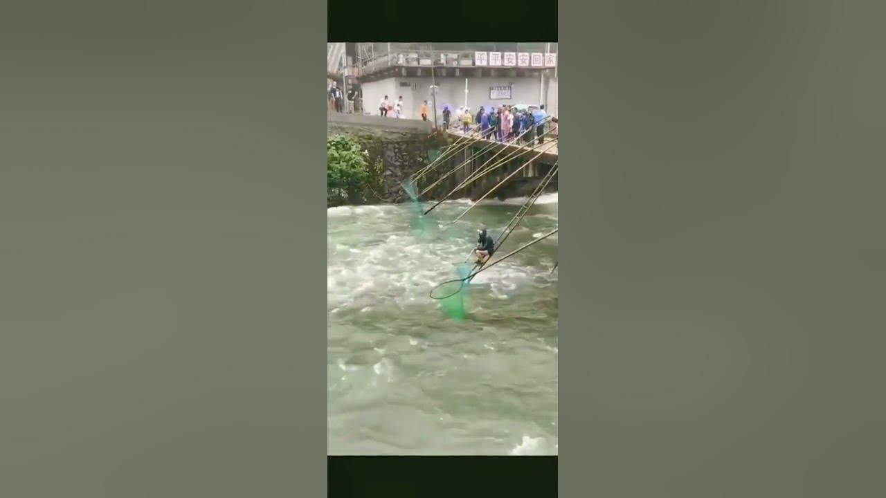 18 kg fish hunting in one shot #18kg #fish #hunting #oneshot #fishing #bigfish #viralfish # ...