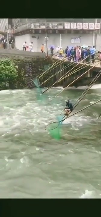 18 kg fish hunting in one shot #18kg #fish #hunting #oneshot #fishing #bigfish #viralfish # ...