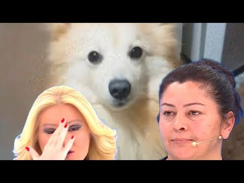 YARIN BÜYÜK GÜN İNŞALLAH 🤲🤲AYRANLI SALATA‼️‼️‼️