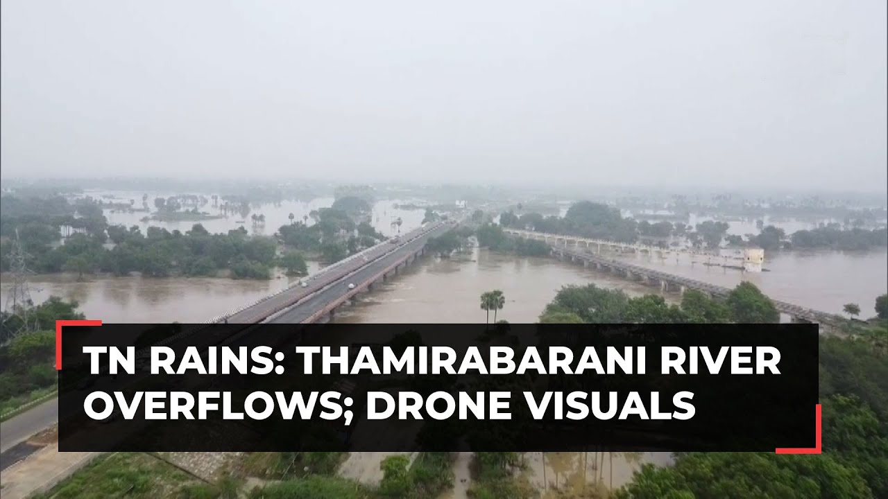 Tamil Nadu rains: Overflowing Thamirabarani river breaches nearby areas ...