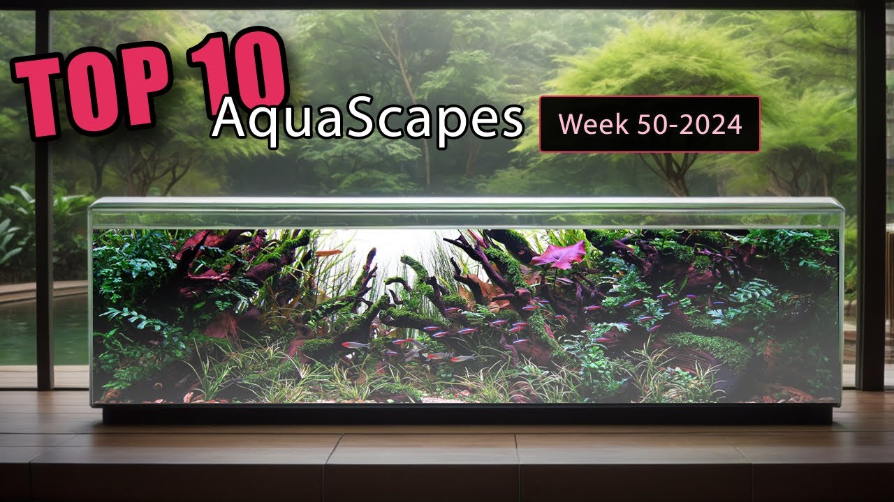 Top 10 High Tech Aquariums - Week 50-2024 - YouTube