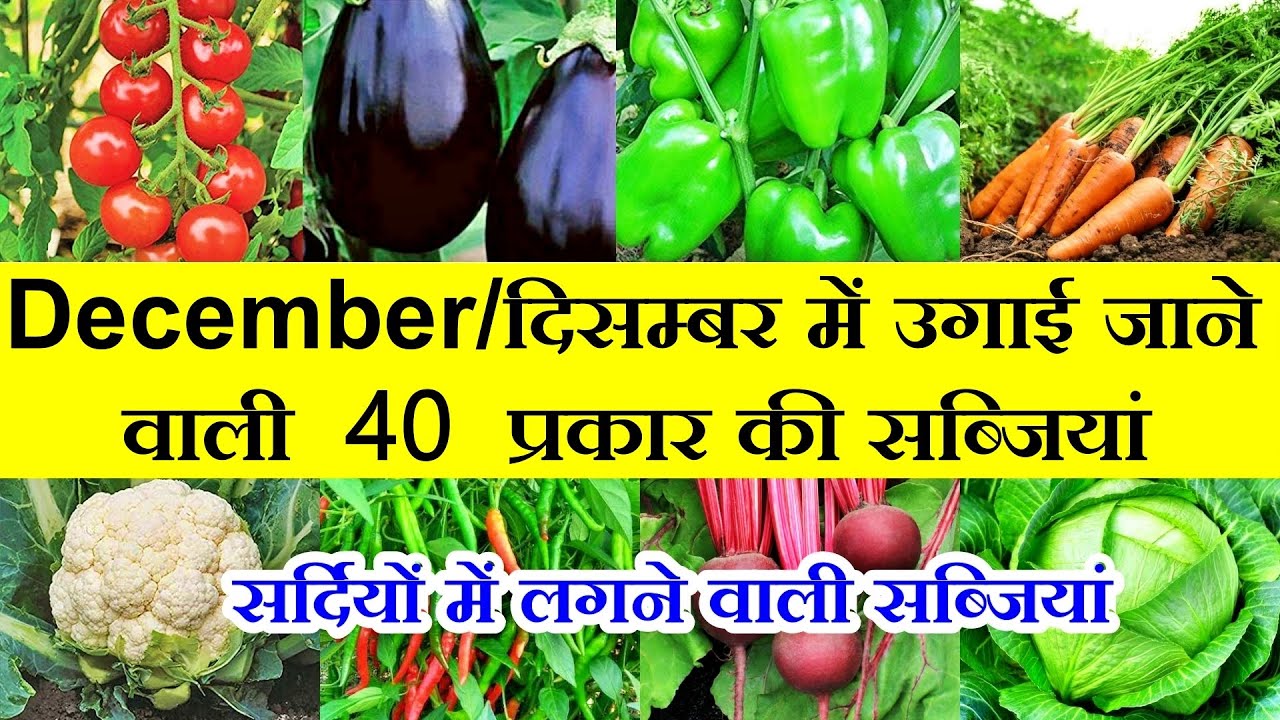 December me konsi Sabji lagaye|December me Lagne Wali sabjiyan|December ...