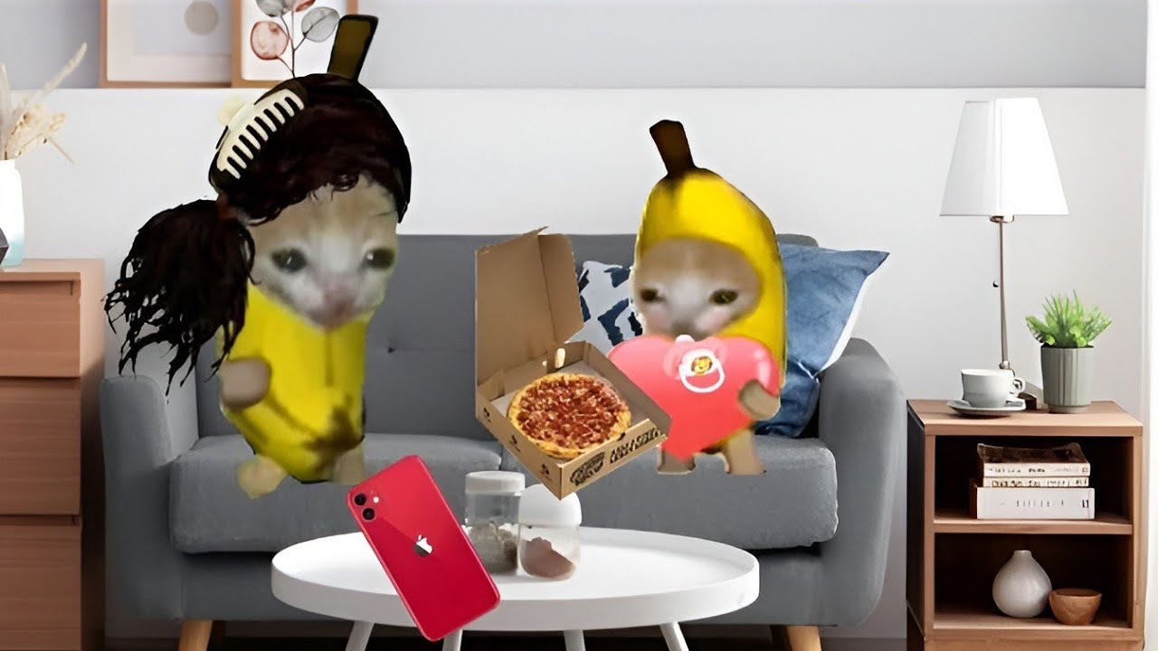 Banana cat crying pizza bad luck #babybananacat #happycat #catmemes # ...