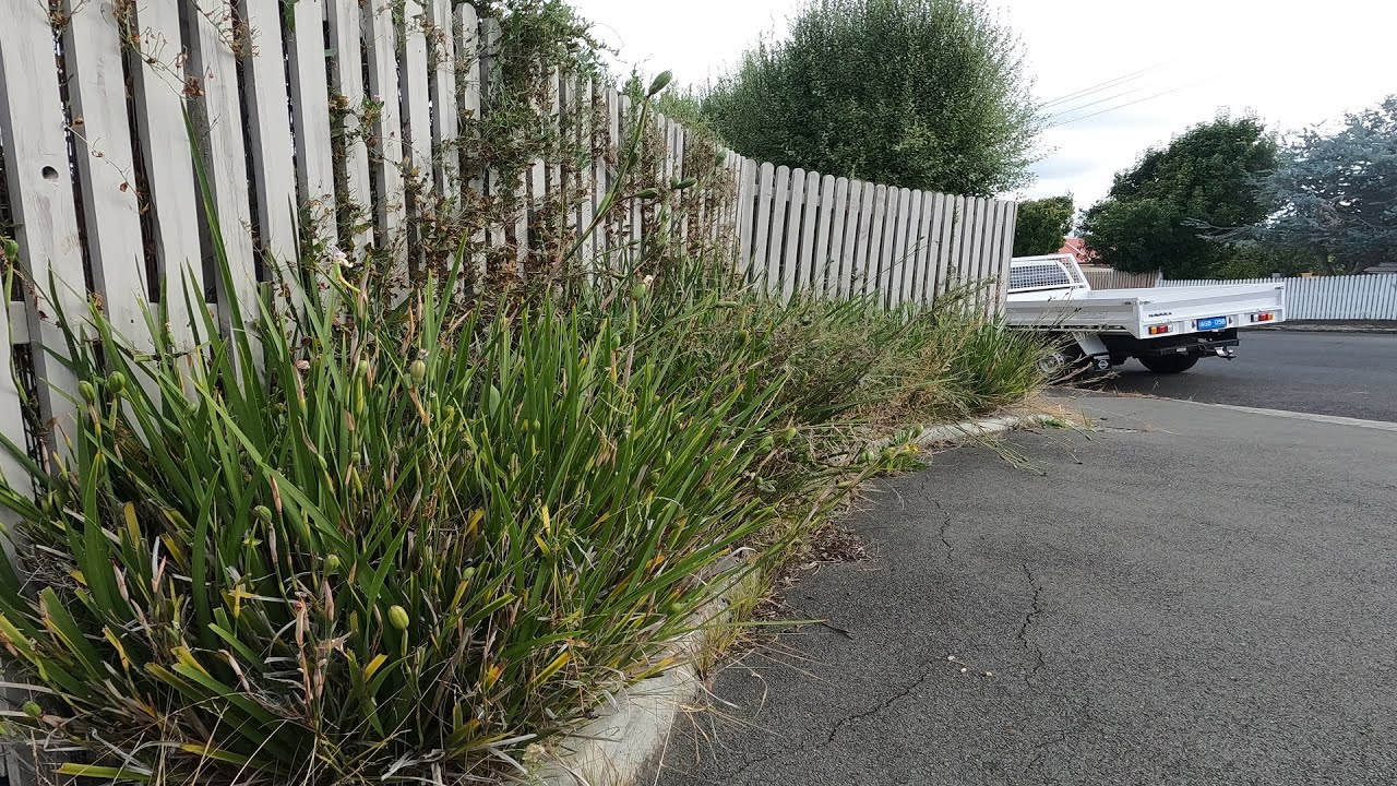 Yearly Garden DISASTER Receives Full Treatment | BEAUTIFUL ...