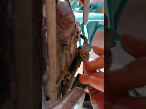 Motoran torro lx100 yağ değişimi nasıl yapılır...