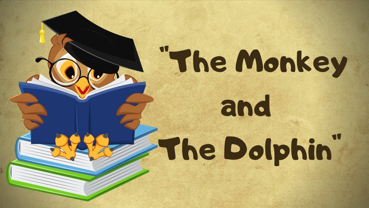 The Monkey and The Dolphin - Bedtime Stories - Read Short Story - YouTube