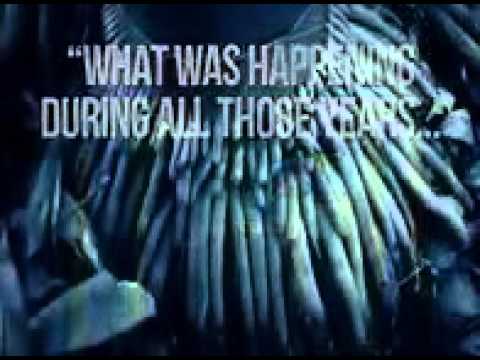 [Inspirational Video] - The Story of the Chinese Bamboo Tree - YouTube