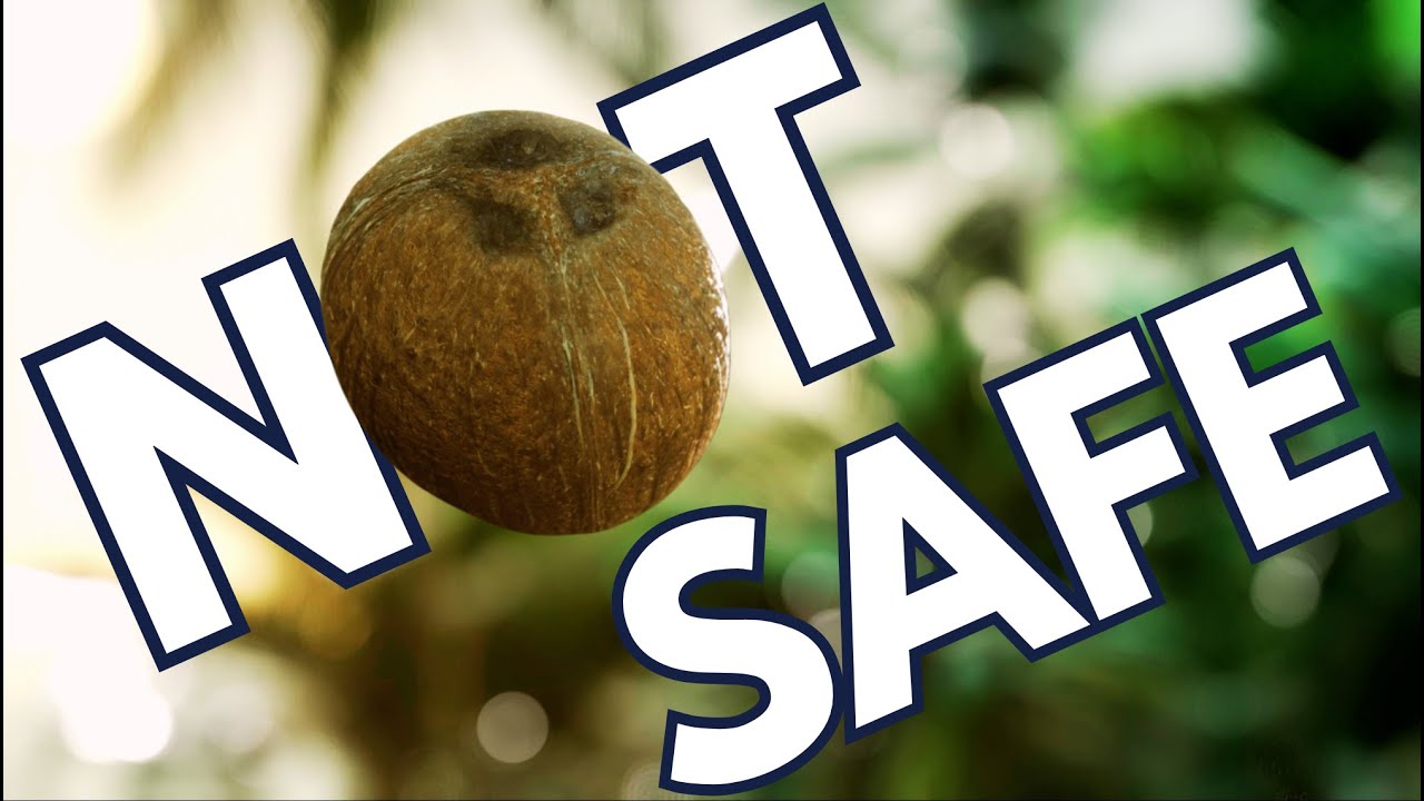 The Two Safest Deadly Things Ever - YouTube