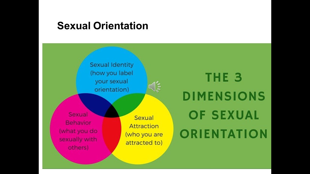Sexual Orientation Youtube