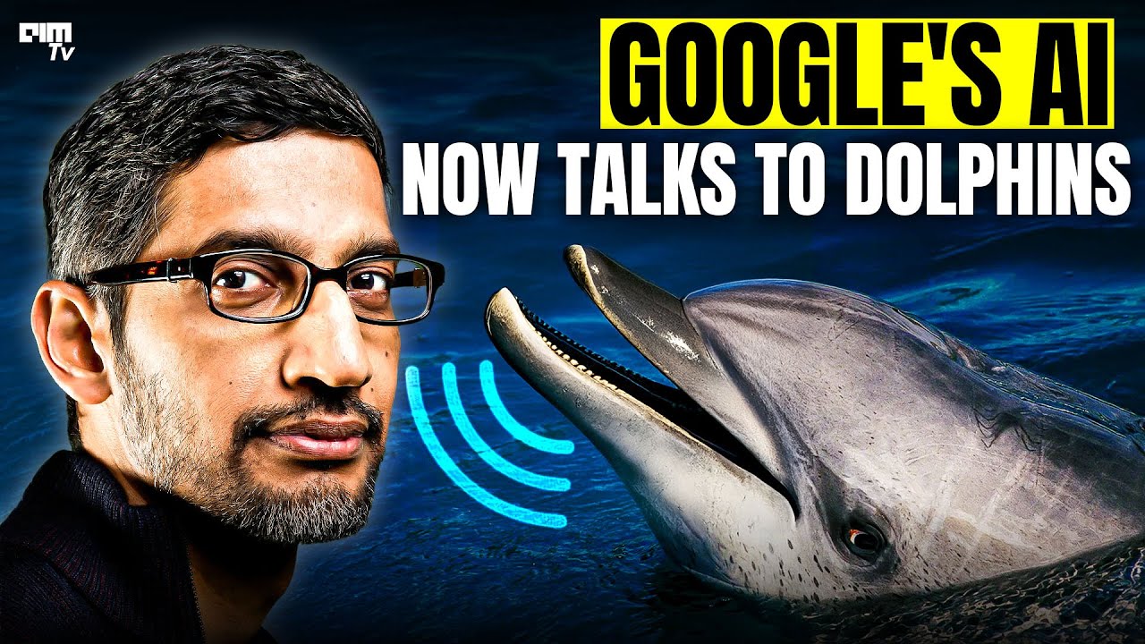 Google's AI Can Now Help Talk to Dolphins — Here’s How! | Front Page ...