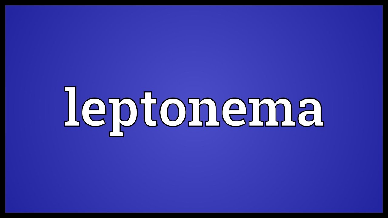 Leptonema Meaning - YouTube