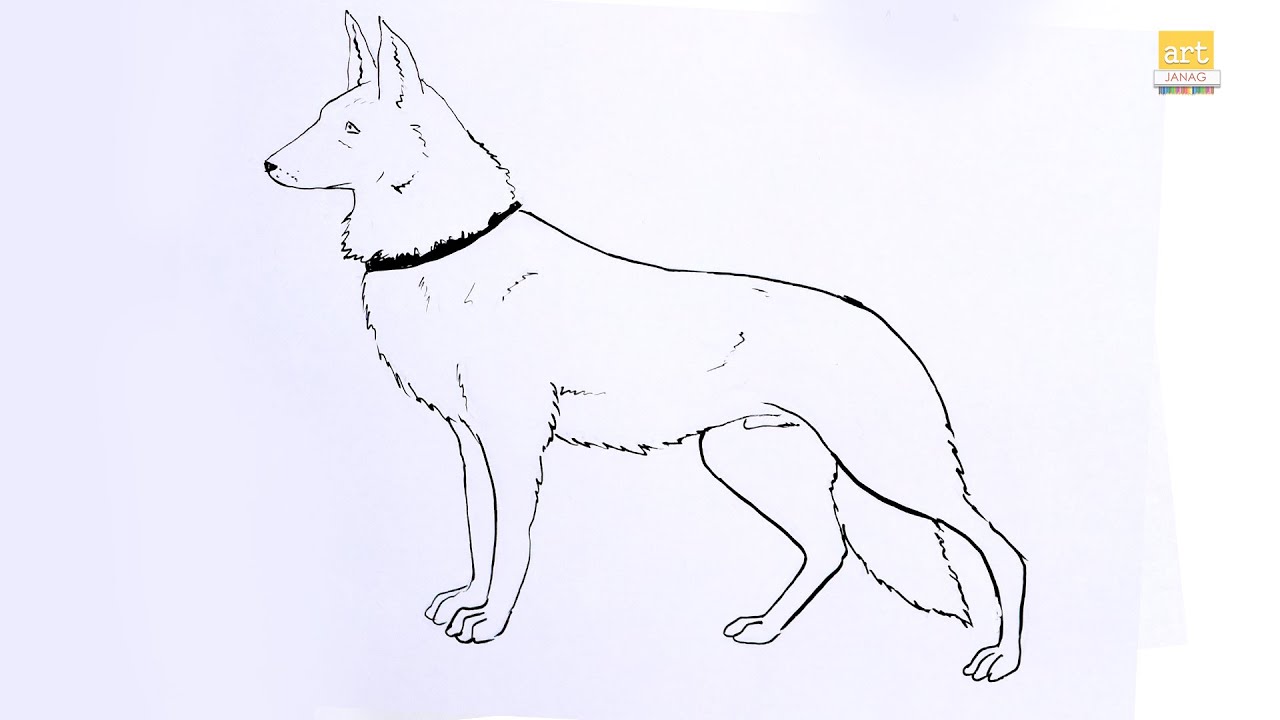 How to draw A Dog easy II Dog drawing II part 01 II #artjanag - YouTube