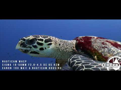 Nauticam Wide Angle Conversion Port (WACP) Showreel