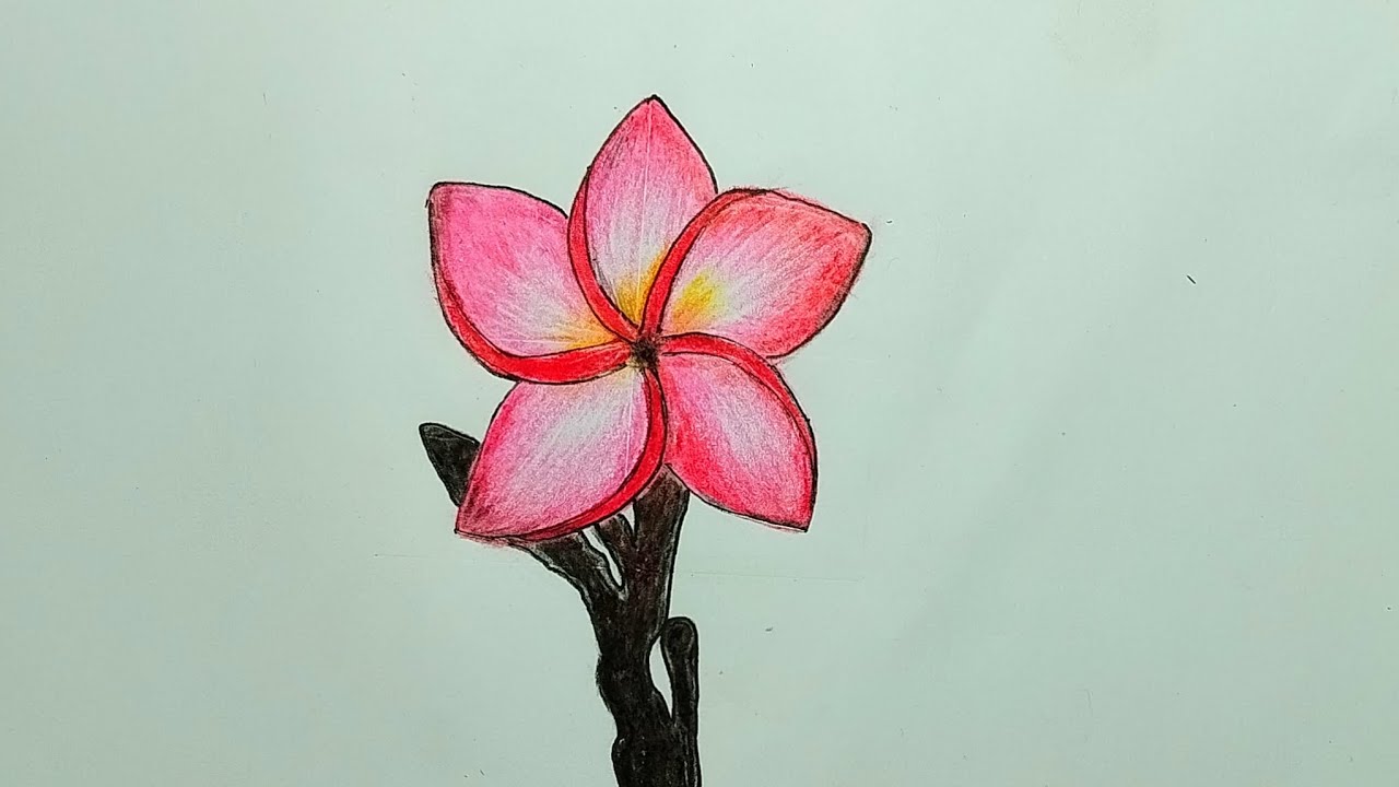 How to draw wood champa step by step easy for beginners - YouTube