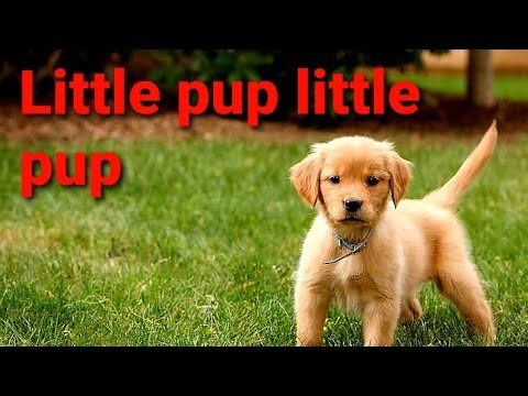 Little pup little pup | English poem | with karaoke | - YouTube