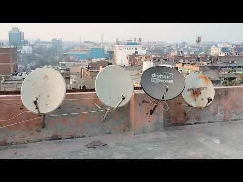 Harola Sector 5 Noida