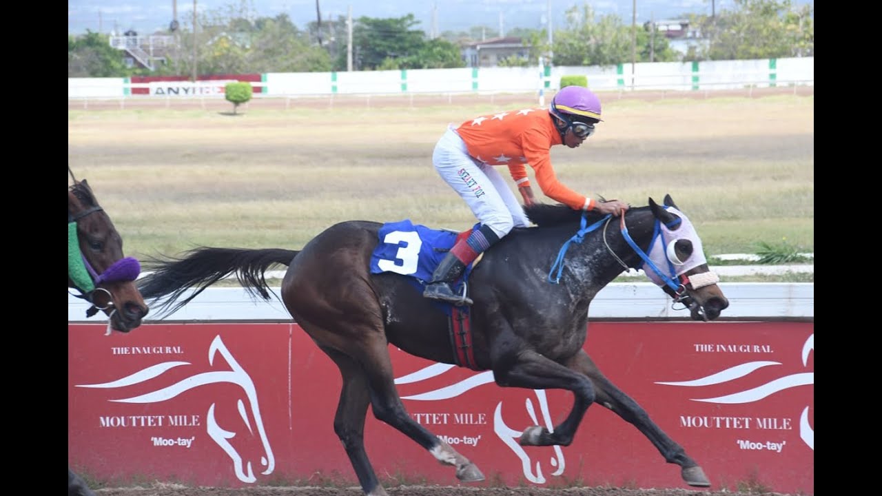 JAMAICA RACING: RADDESH ROMAN AT HIS BEST ON PRO JOHNNY (FEB 22, 2023 ...