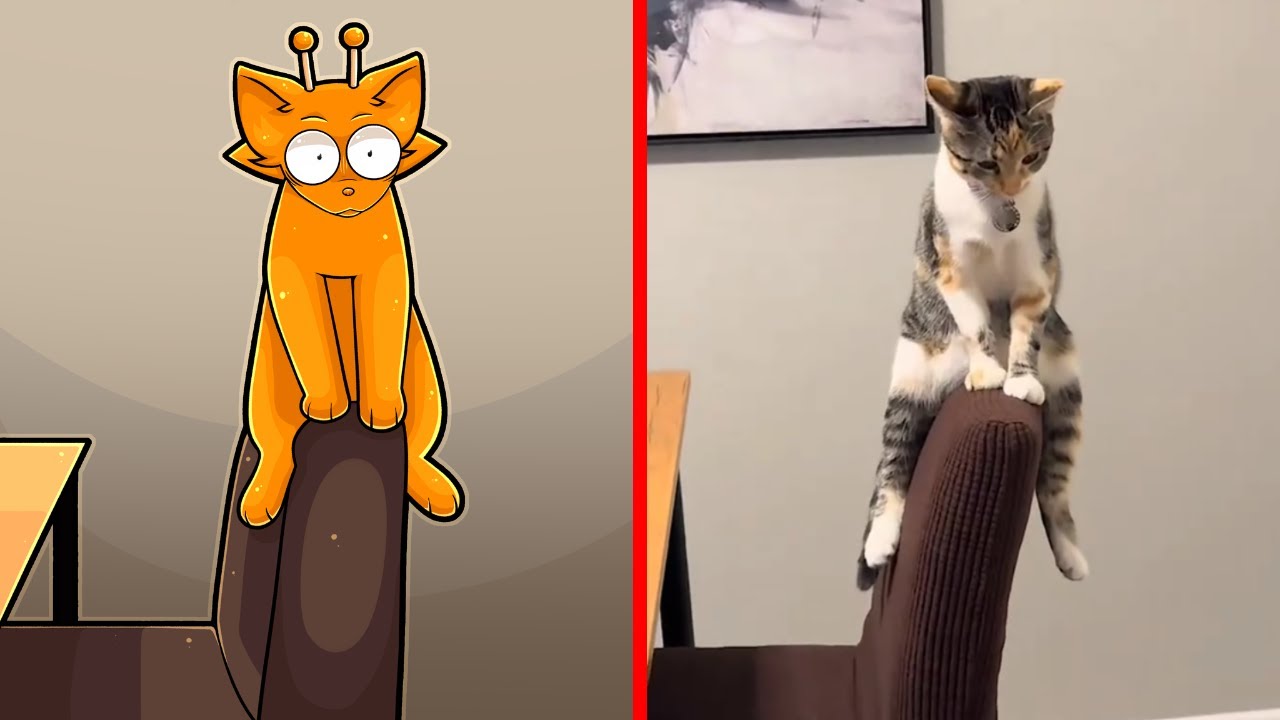 When Your Cat Acts Like SPRUNKI | Hilarious Pet Moments That Will Crack ...