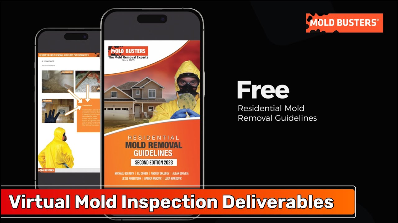 Virtual Mold Inspection Deliverables - Mold Busters - YouTube