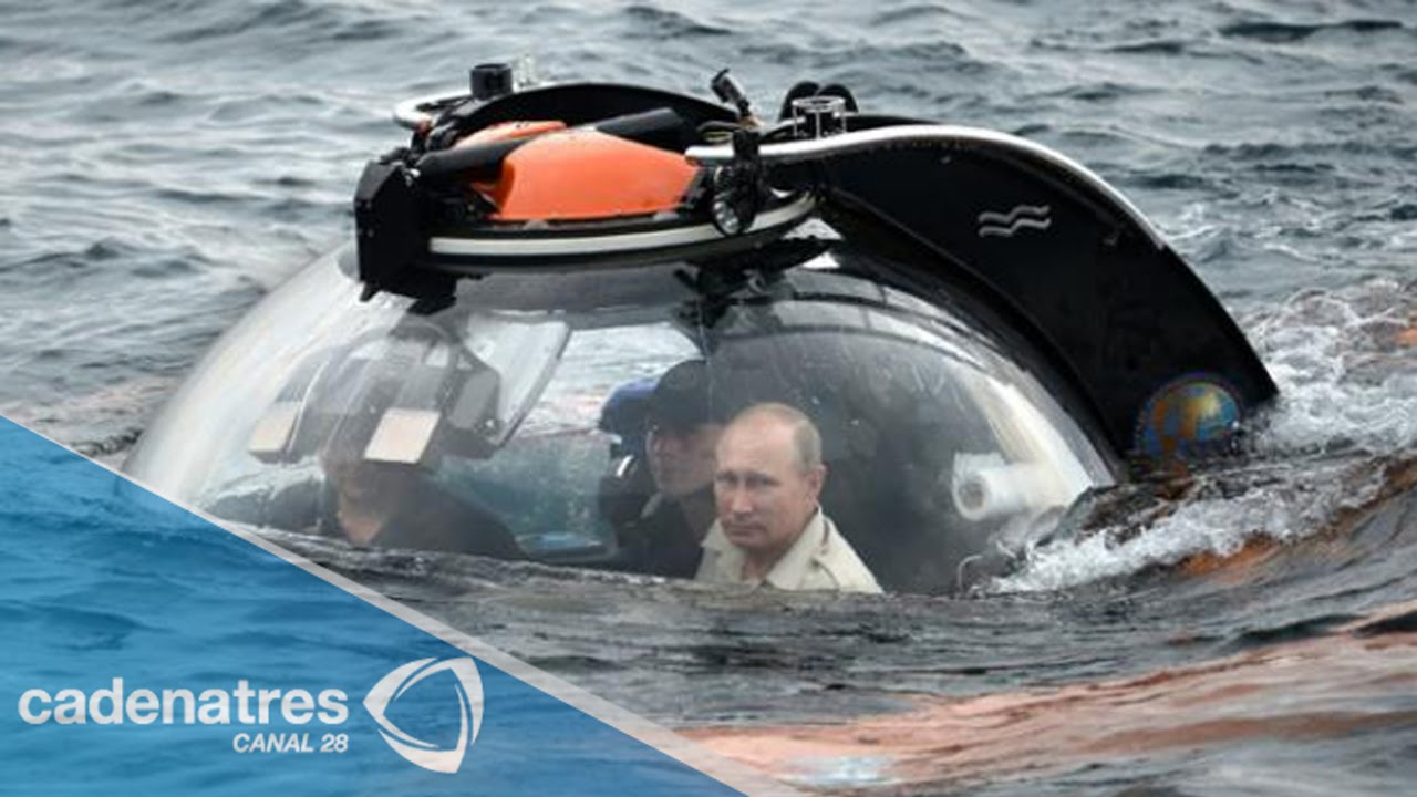 ¡Al agua pato!… ¿pato ruso? Vladímir Putin se sumerge al mar negro ...
