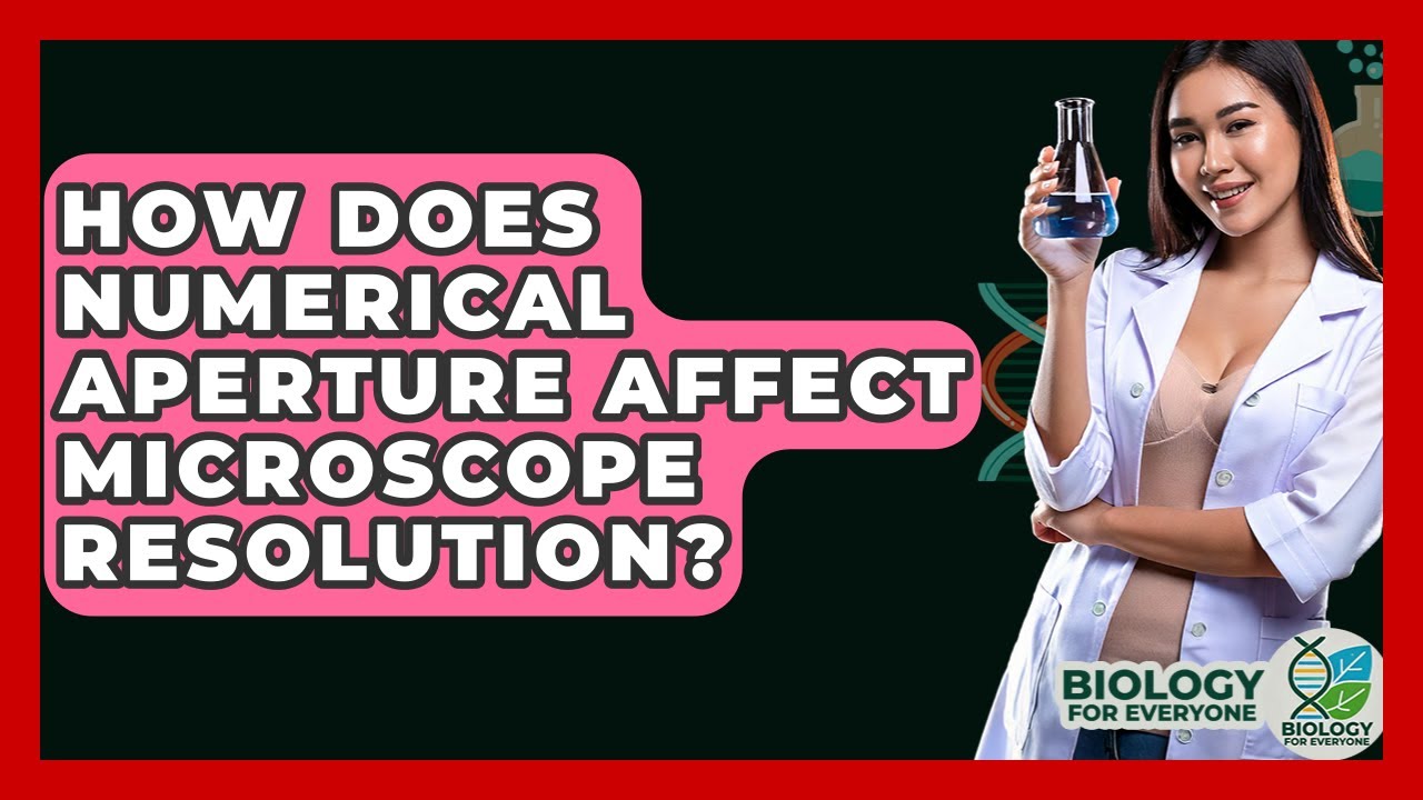 How Does Numerical Aperture Affect Microscope Resolution? - Biology For ...