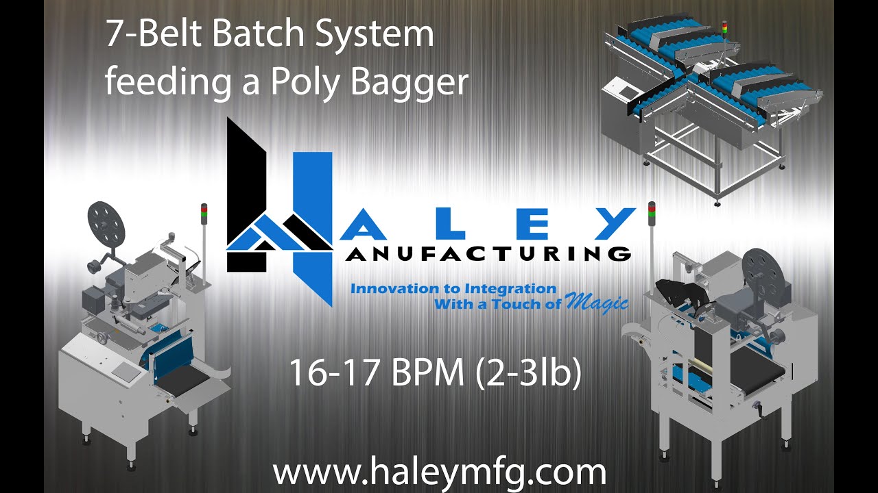 7 Belt Batch System With Automated Poly Bagger - YouTube