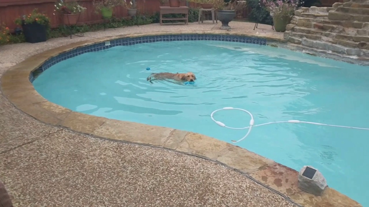 Swimming Banana - YouTube