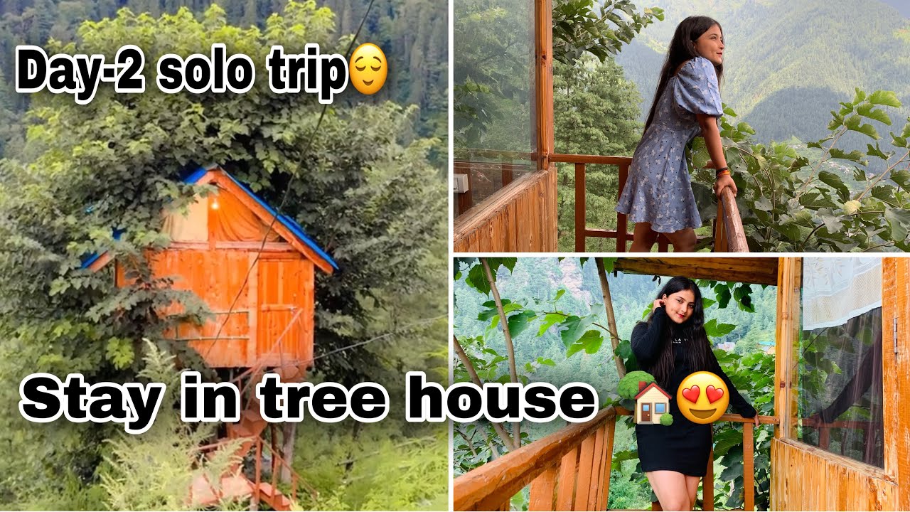 Himachal day -2 STAY IN TREE HOUSE AT TANDI HIMACHAL🏡🤩|| SOLO TRAVEL ️😌 ...