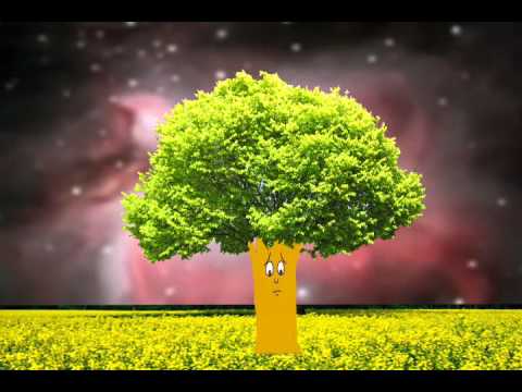 AĞAÇ HAL DİLİYE BİZE DERS VERİYOR..wmv