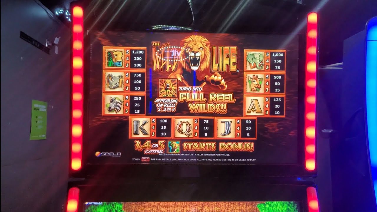 Another AMAZING night playing Live SLOTS with A Bunch of Bonuses. 😍 ...