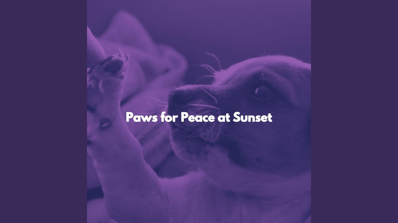 Classic Ambience for Inspiring Thoughts - YouTube