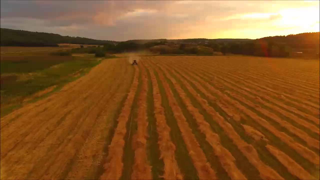 Country Life - YouTube
